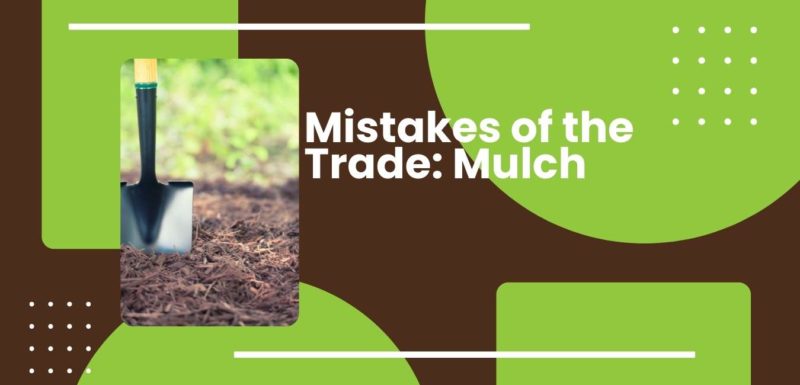 Mistakes of the Trade - Mulch - TruNorth Landscaping