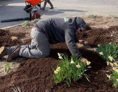 Landscape Design Construction Processes