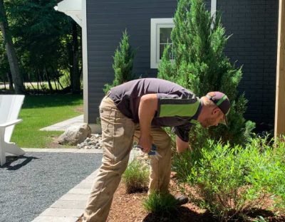 Landscape Design Construction Processes