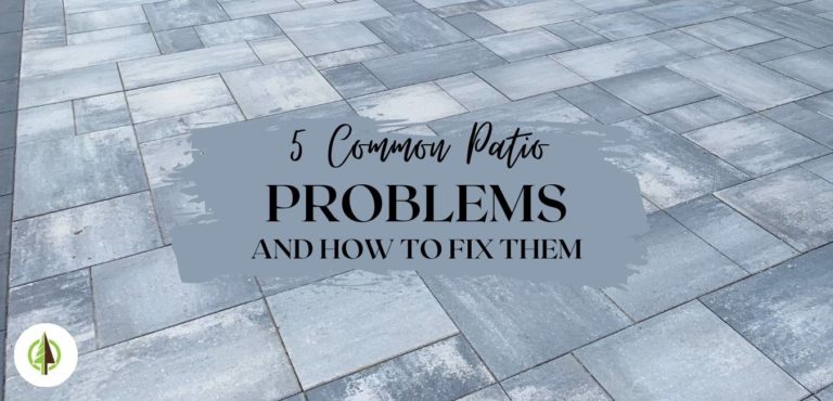 5 Common Patio Problems and How to Fix Them - TruNorth Landscaping