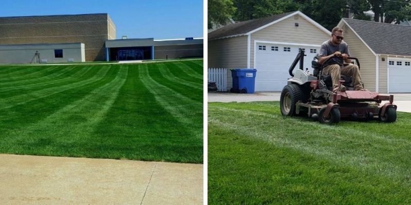 5 Ways to Fix Your Ugly Lawn - TruNorth Landscaping