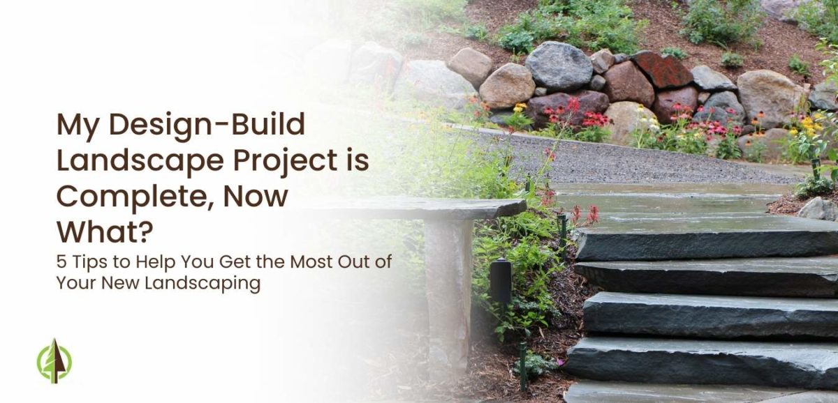 My Design-Build Landscape Project is Completed, Now What? 5 Tips to ...