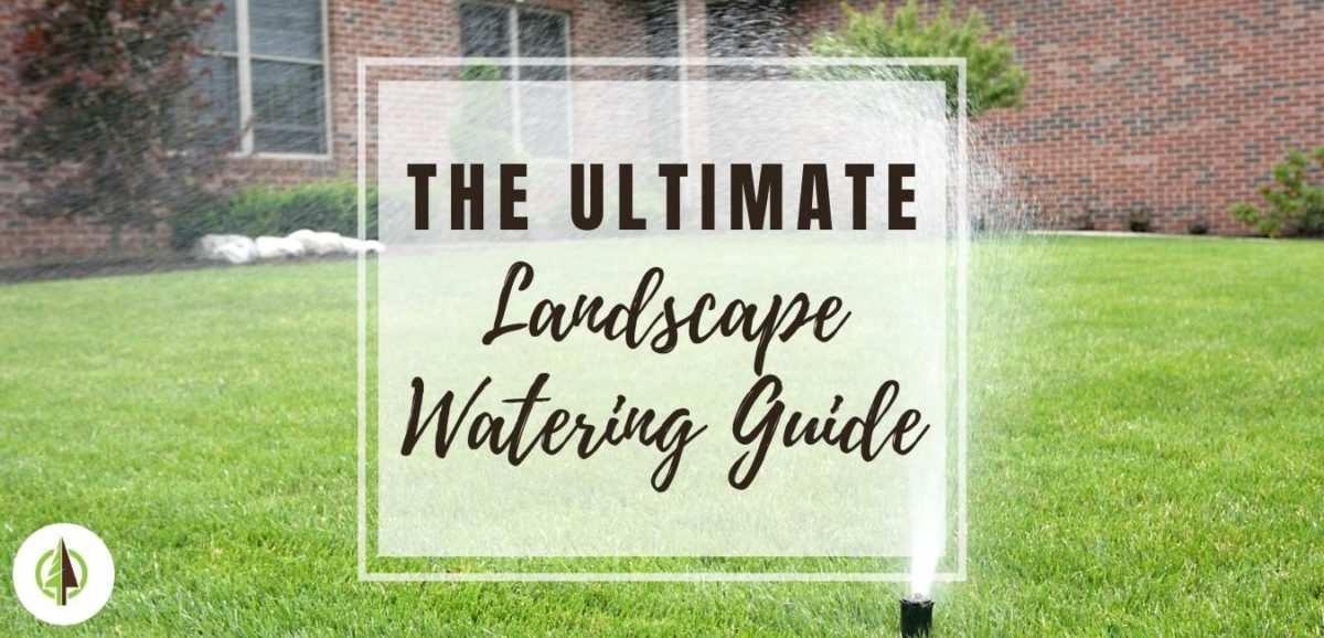 The Ultimate Landscape Watering Guide - TruNorth Landscaping