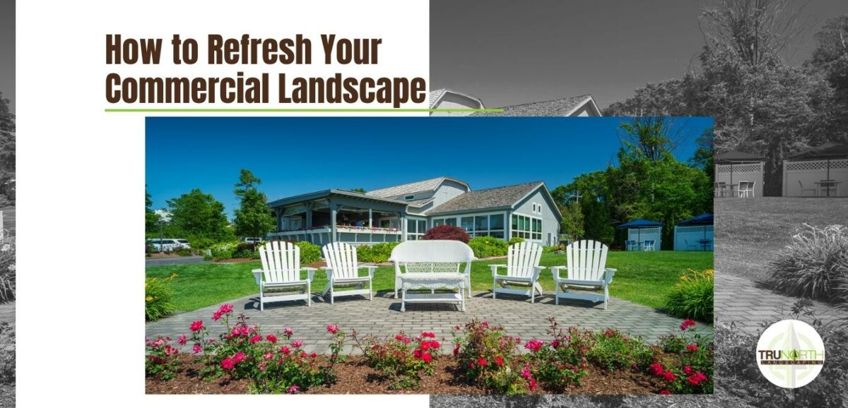 4 Ways to Refresh Your Commercial Landscape - TruNorth Landscaping
