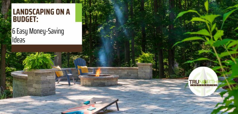Landscaping on a Budget: 6 Easy Money-Saving Ideas - TruNorth Landscaping