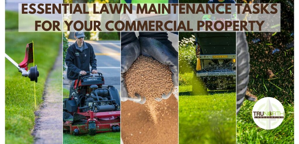 Your Checklist of Essential Lawn Maintenance Tasks for a Beautiful ...